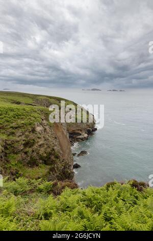 Ramsey Sound and Ramsey Island, Pembrokeshire, Wales Stock Photo - Alamy