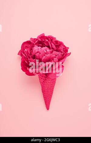 Pink peony monochrome greeting card. Fresh fragrant peony flowers ...