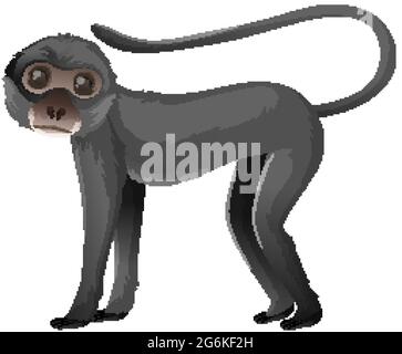 Animal cartoon character of Spider monkey on white background ...