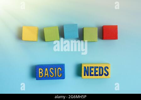 Text sign showing Basic Needs. Business overview necessary to sustain ...