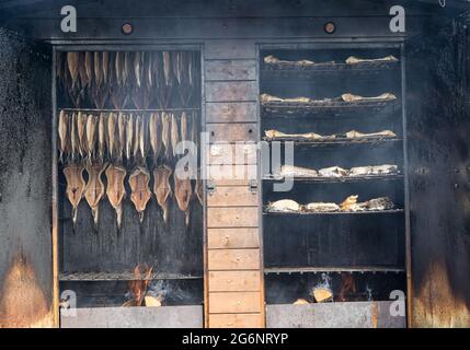 traditional smokehouse for smoking fresh caught bonga fish (Ethmolosa ...
