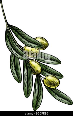Olive branch, leaves and olives vector glyph icon. Graph symbol for ...