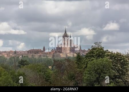 Salamanca / Spain - 05 12 2021: Detailed view at the Monterrey's palace ...