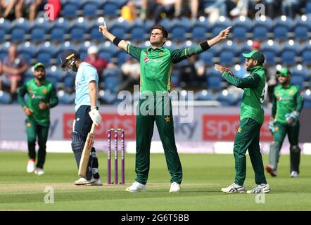 Sohaib Masood New Cricketer