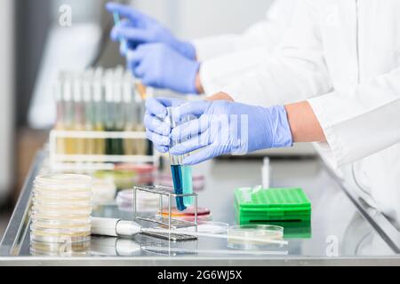 Researchers preparing samples for experiments in laboratory Stock Photo ...
