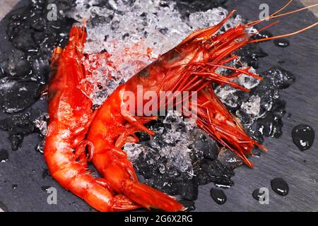 italian red prawns or shrimps known as gambero rosso arranged in a ...