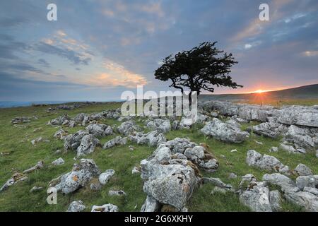 Sunset on limestone pavement known as Twistleton Scars, near to ...