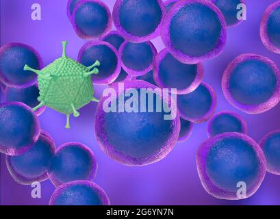 3D Illustration. Microorganisms in human body Stock Photo - Alamy