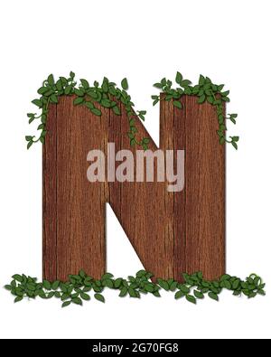 The letter H, in the alphabet set "Deep Woods" is filled with wod ...
