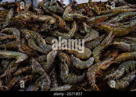 Variety of common shrimps on the Batumi fish market Stock Photo - Alamy