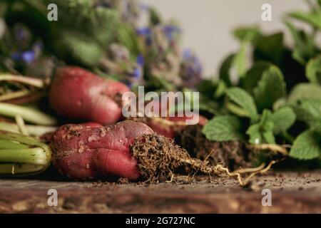 Closeup shot of homegrown vegetables after a harvest Stock Photo - Alamy