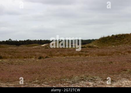 Landscape of brownfield under a cloudy sky Stock Photo - Alamy