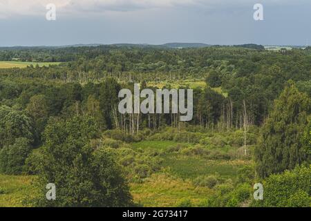 The nature scenery of Lithuania. Stunning green and forest landscape ...
