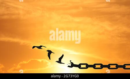 Freedom Concept : Birds Broken The Chain and Flying Away. Chains ...
