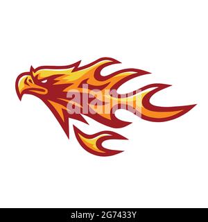 Fire Eagle Phoenix Falcon Hawk Head Flame Line Stylized Logo Vector ...