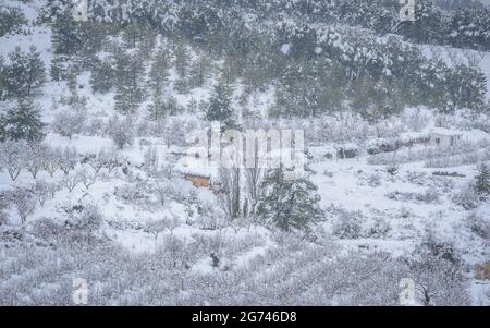Fruit tree fields and forests near Ulldemolins village during a winter ...