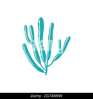Blue bubble tip anemone isolated soft coral icon. Vector seaweed ...
