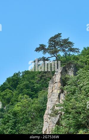 mountain big rock on a forest side Stock Photo - Alamy