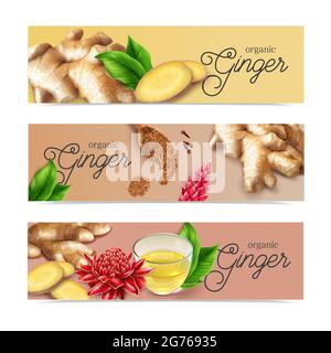 Organic ginger root spice flavor drinks food health benefits 3 ...