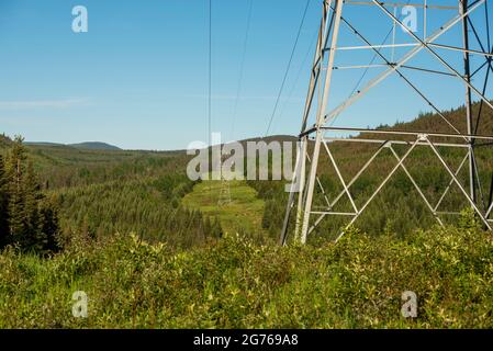 Electrical lines run on large pylons through Gaspesie Provincial Park ...