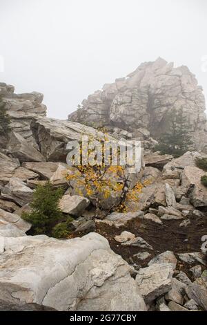 Rocky and dangerous terrain on a foggy day Stock Photo - Alamy