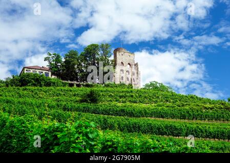 panoramic schriesheim and strahlenburg Stock Photo - Alamy