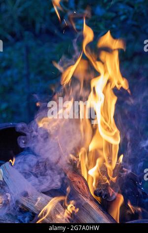 A vertical shot of a bonfire in nature creating a mood for camping ...