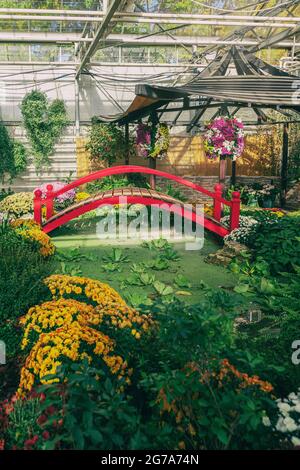 Vivid red bridge over pond over pond in decorative in Japanese garden ...