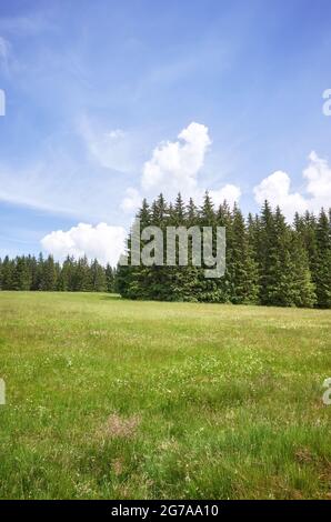Jizera (Izera) Mountains Stock Photo - Alamy