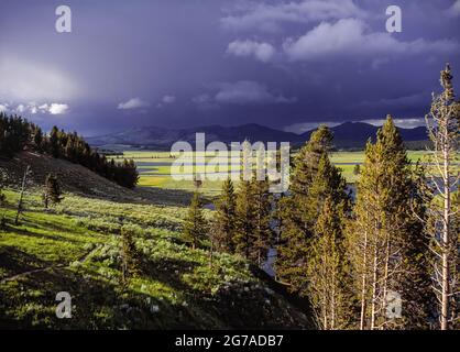 Hayden Valley, Yellowstone National Park, Wyoming, USA Stock Photo - Alamy