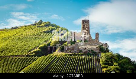 Ruins of Fürstenberg Castle and the Rhine at Rheindiebach, World ...