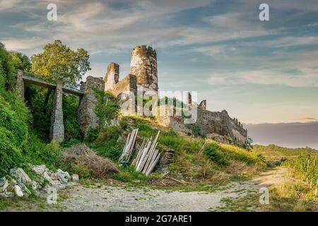 Ruins of Fürstenberg Castle and the Rhine at Rheindiebach, World ...