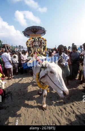 Masi Magam festival at Puducherry; Pondicherry, Union territory of ...