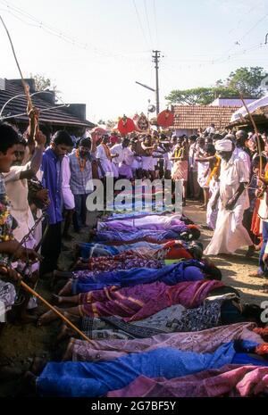 Poojari or priest walking on women in mahasivaratri at poochiyur near ...