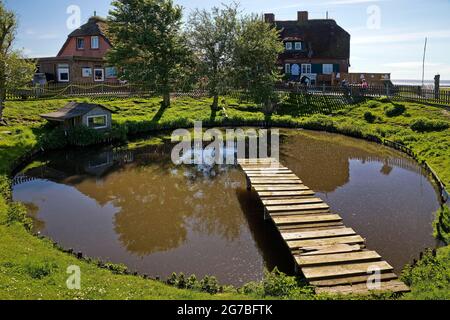 Hallig Suedfall in the Schleswig-Holstein Wadden Sea National Park ...