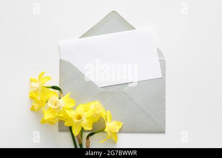 Beautiful daffodils and envelope with blank card on white background ...