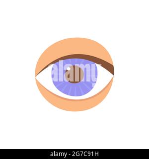 Human eye anatomy in front view Stock Vector Image & Art - Alamy