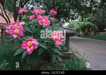 Ancient Shanhua Monastery in Datong city, Shanxi Province, China Stock ...