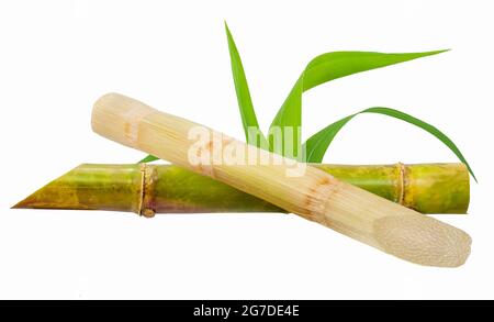 Single object of Sugar cane isolated on white background Stock Photo ...