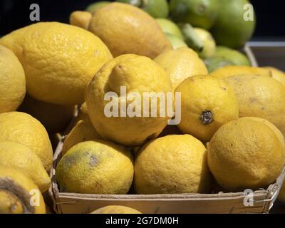 lemons of sicily on display table Stock Photo - Alamy