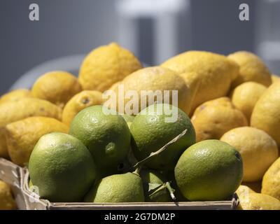 lemons of sicily on display table Stock Photo - Alamy