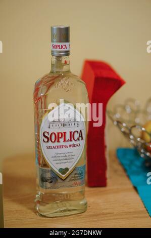 POZNAN, POLAND - Dec 23, 2015: Plastic small toy animal on a table ...