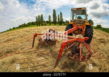 Idyllic haymaking in the sunshine on farmland around Bromley, Greater ...