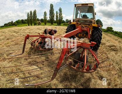 Idyllic haymaking in the sunshine on farmland around Bromley, Greater ...