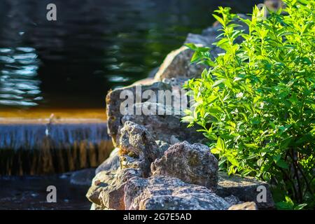 Cold transparent water of decorative artificial waterfall in summer ...