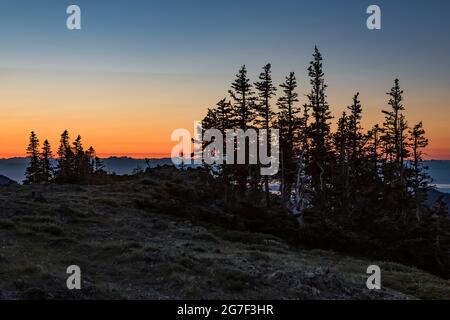 Sunrise at Marmot Pass in the Buckhorn Wilderness, Olympic National ...