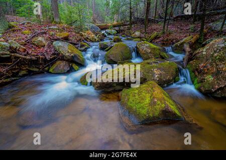 Forest Stream in Gambrill State Park Stock Photo - Alamy
