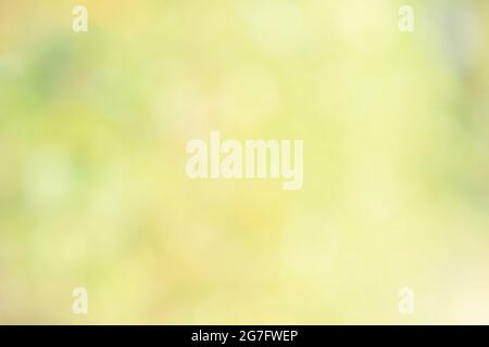 gradient blurred beautiful green trees with overcast sky Stock Photo ...