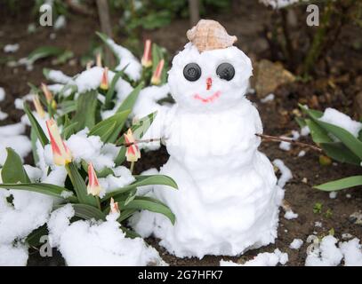 Little cute smiling snowman standing on a snow Stock Photo - Alamy