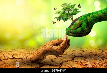 tree in two hands with very different environments Earth Day or World ...